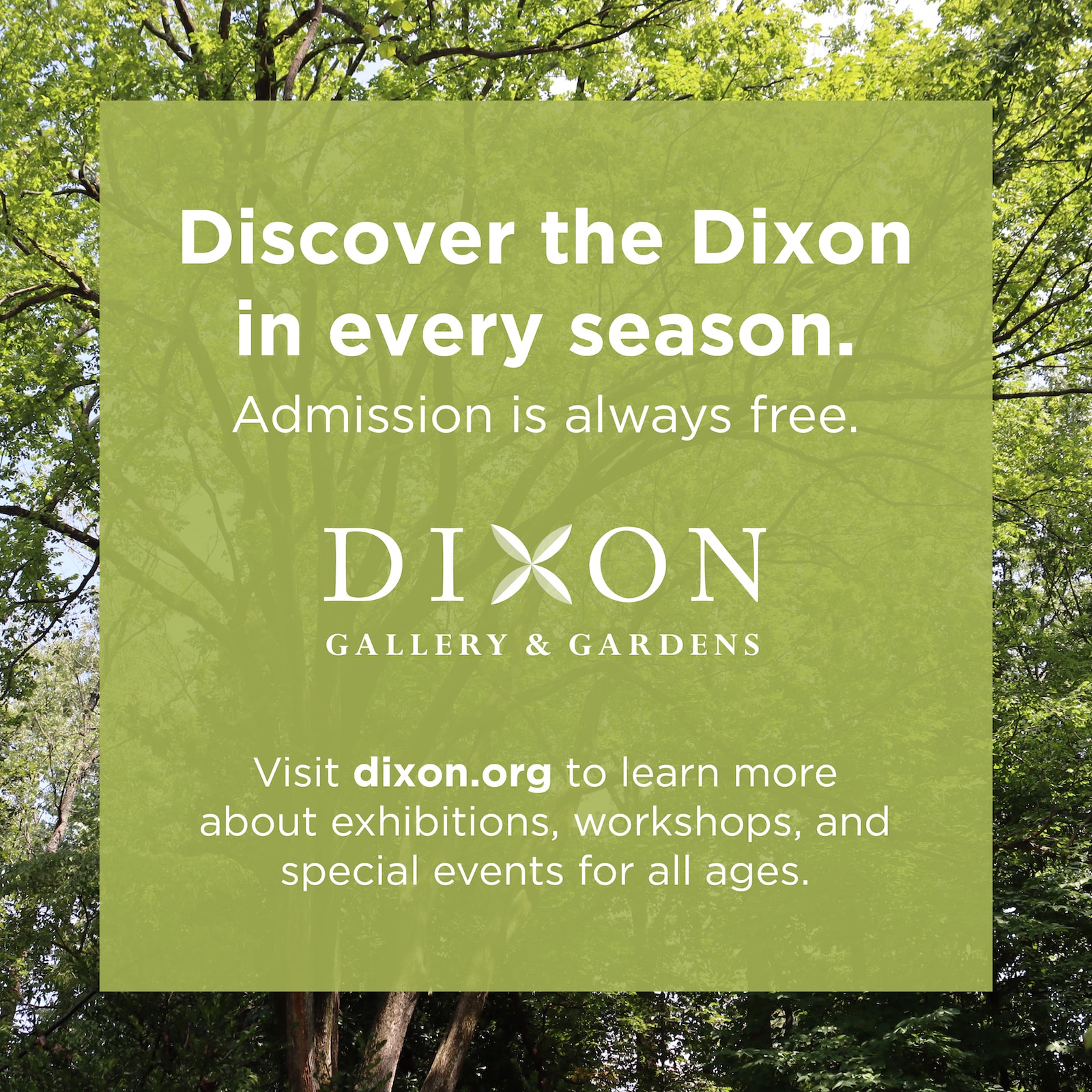 Instagram Landing Page